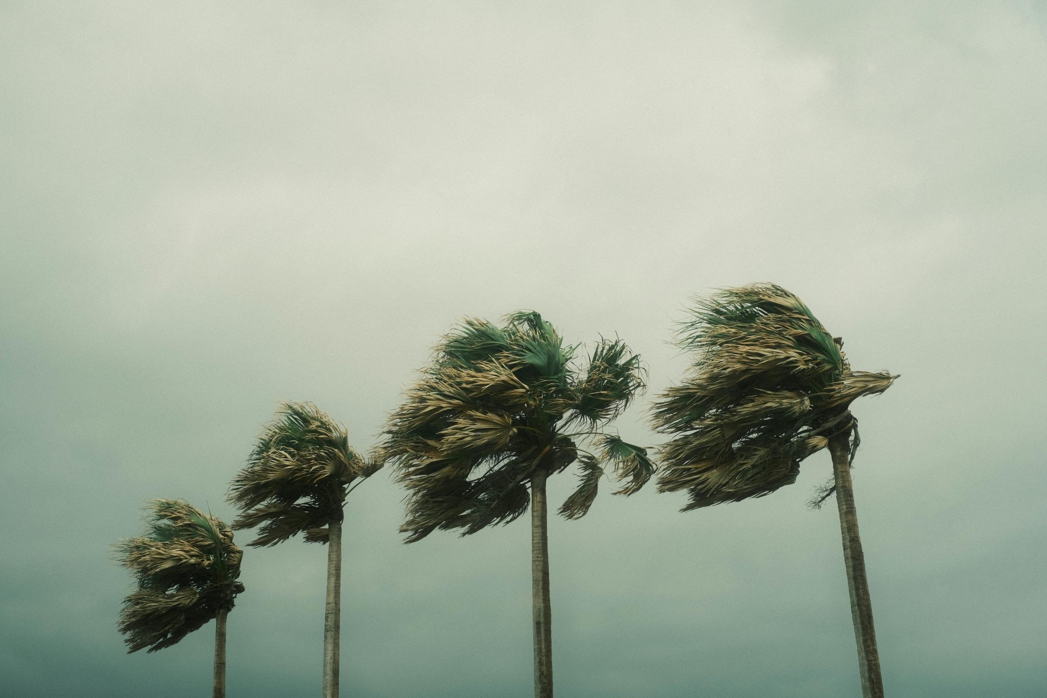 Kenya Met warns of strong winds and rainfall in several counties on ...