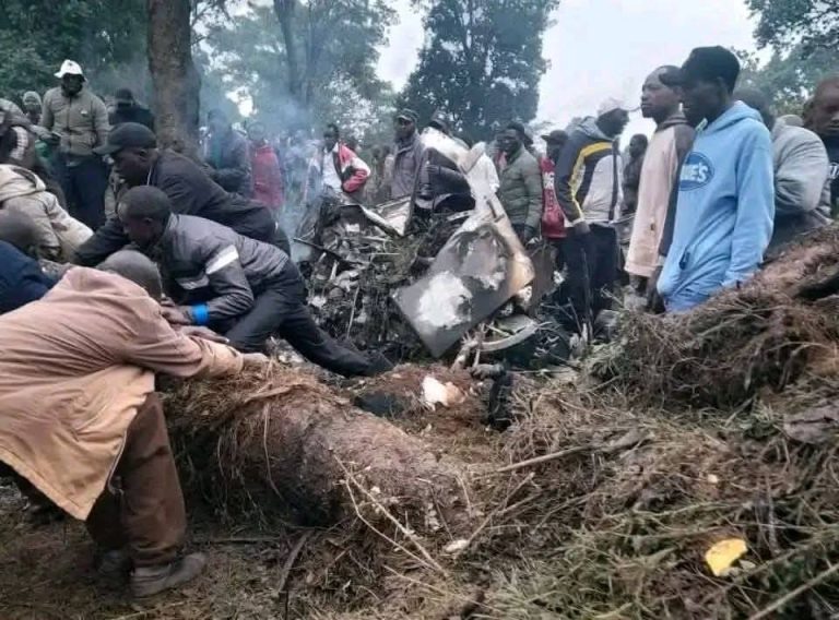 Several feared dead after a chopper crashes in Nandi - K24 Digital